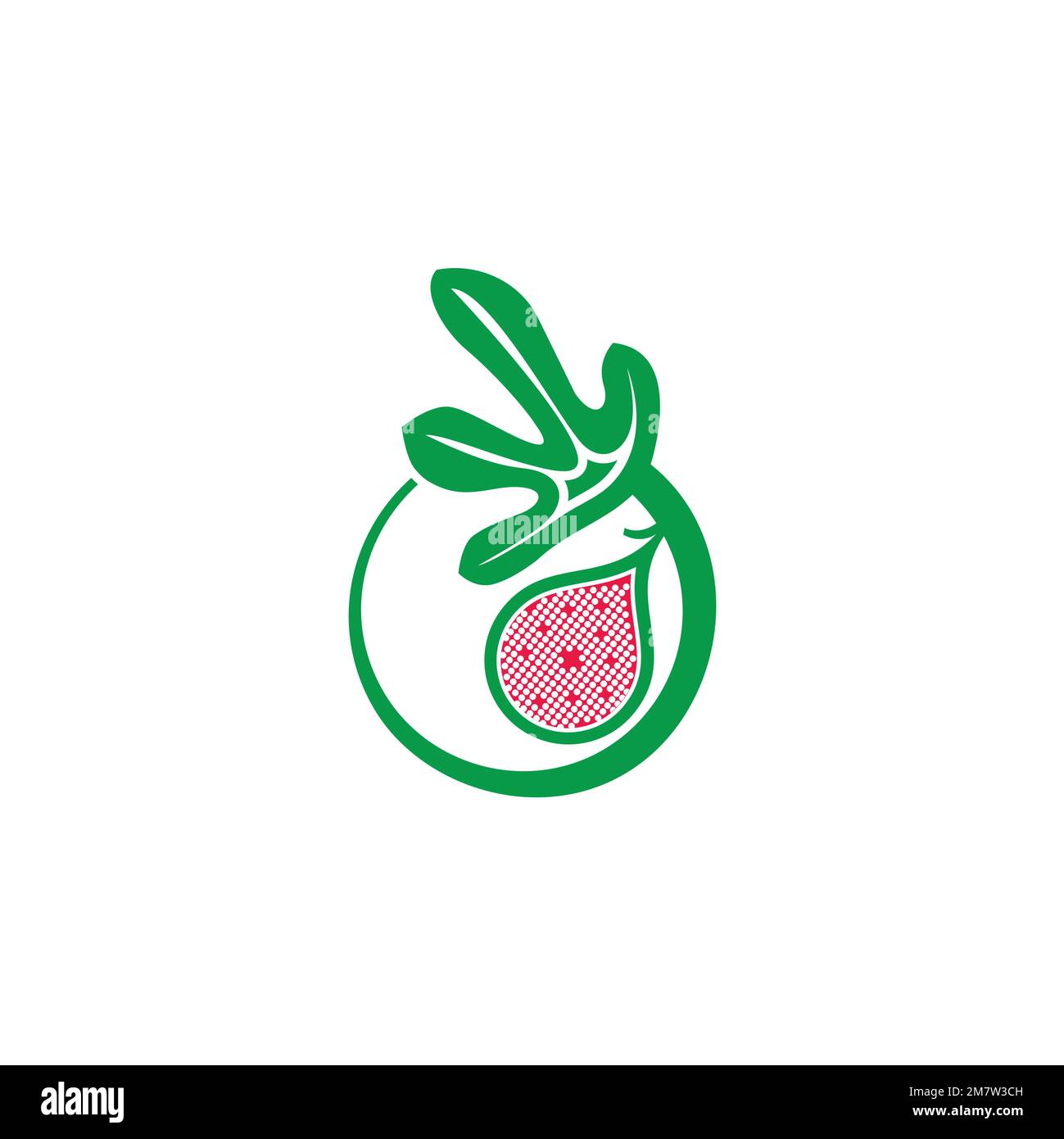 colorful fig fruit leaf circle logo vector Stock Vector Image & Art - Alamy