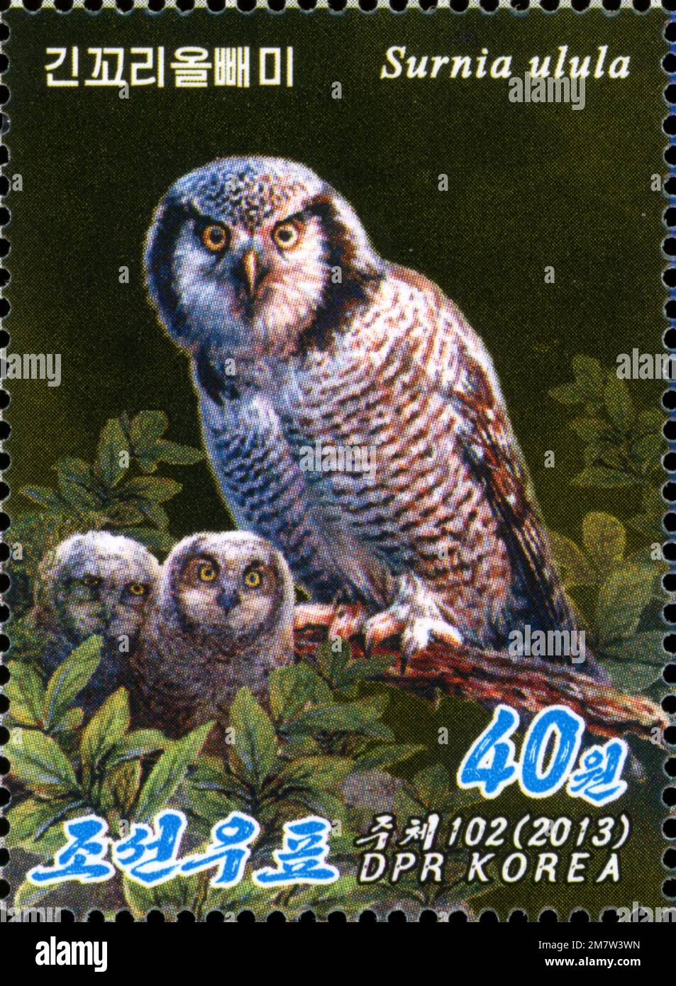 Owl postal service hi-res stock photography and images - Alamy
