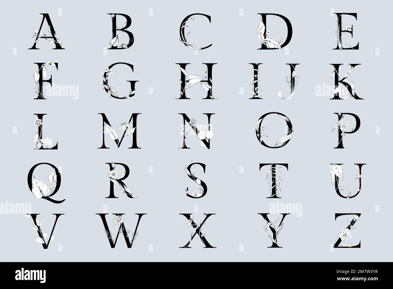 Flower decorated alphabet vector set botanical letters Stock Vector ...