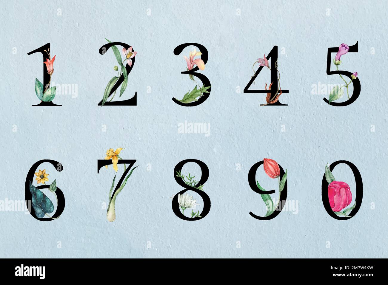 Vector 123 number collection botanical vintage typography Stock Vector ...