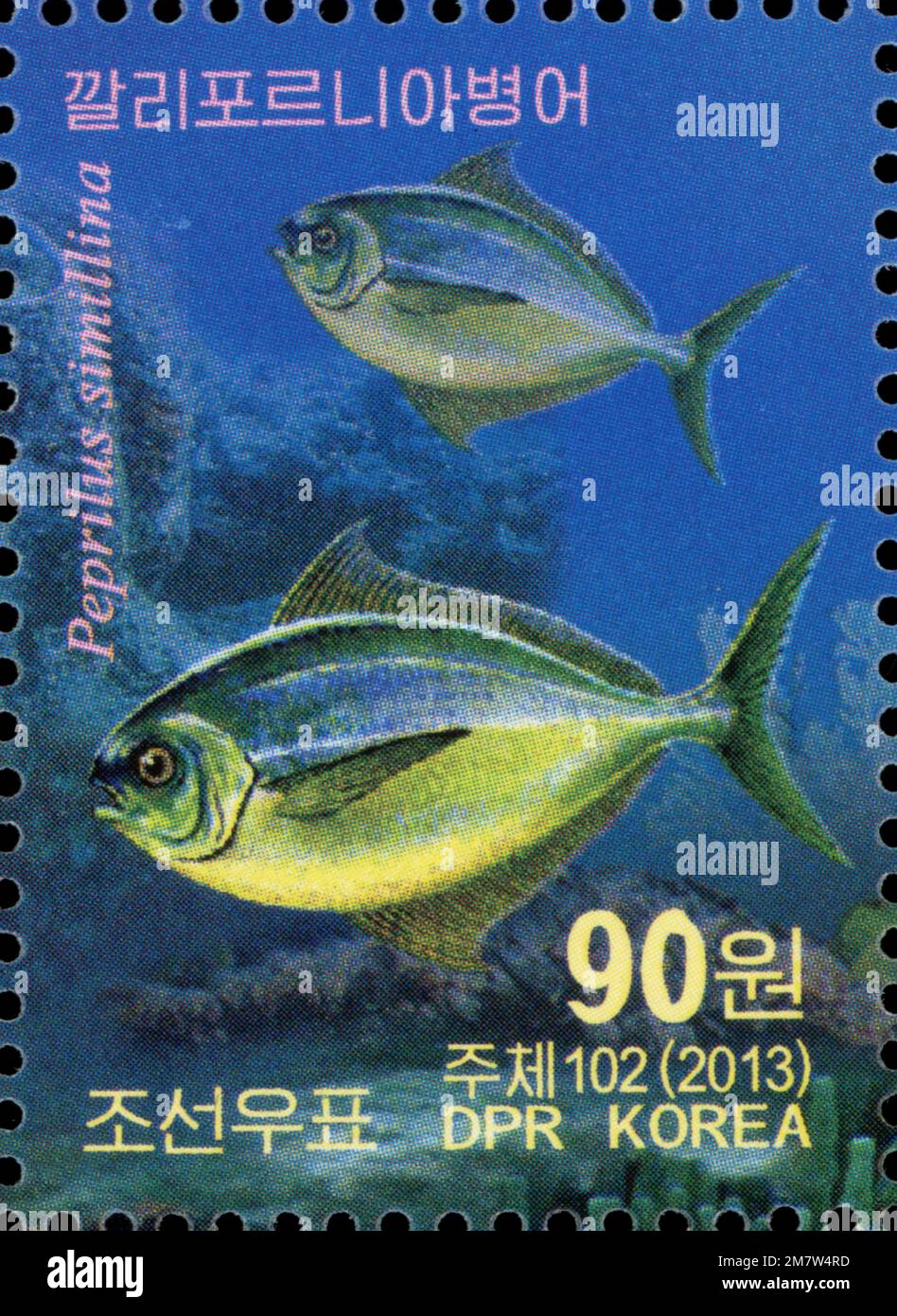 Peprilus simillimus hi-res stock photography and images - Alamy