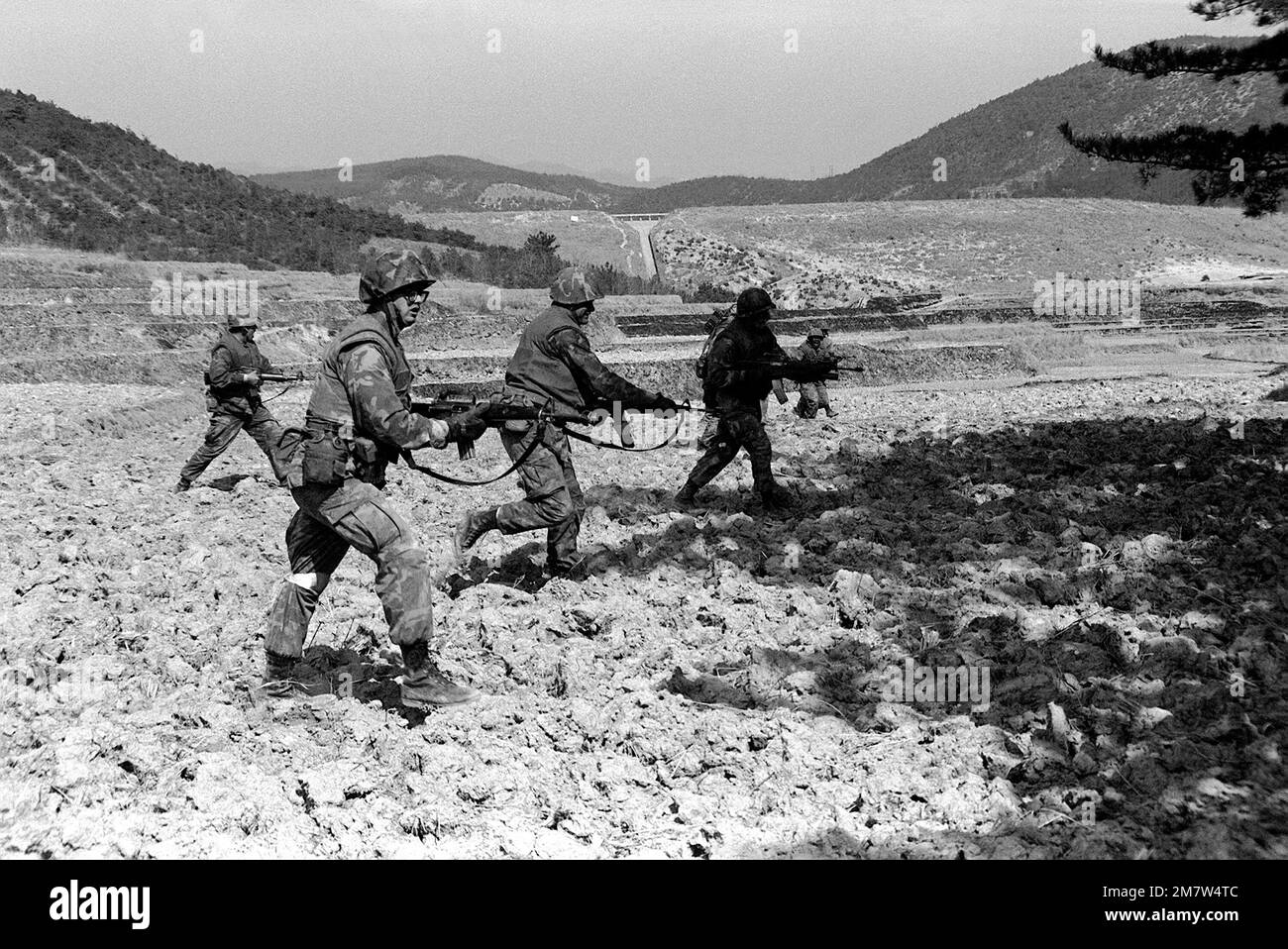 Marines armed with M-16 rifles play the part of aggressors during ...