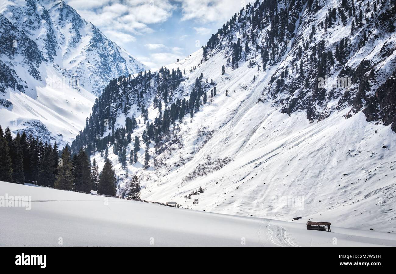 An aerial view of snow covered mountain landscape with trees Stock ...
