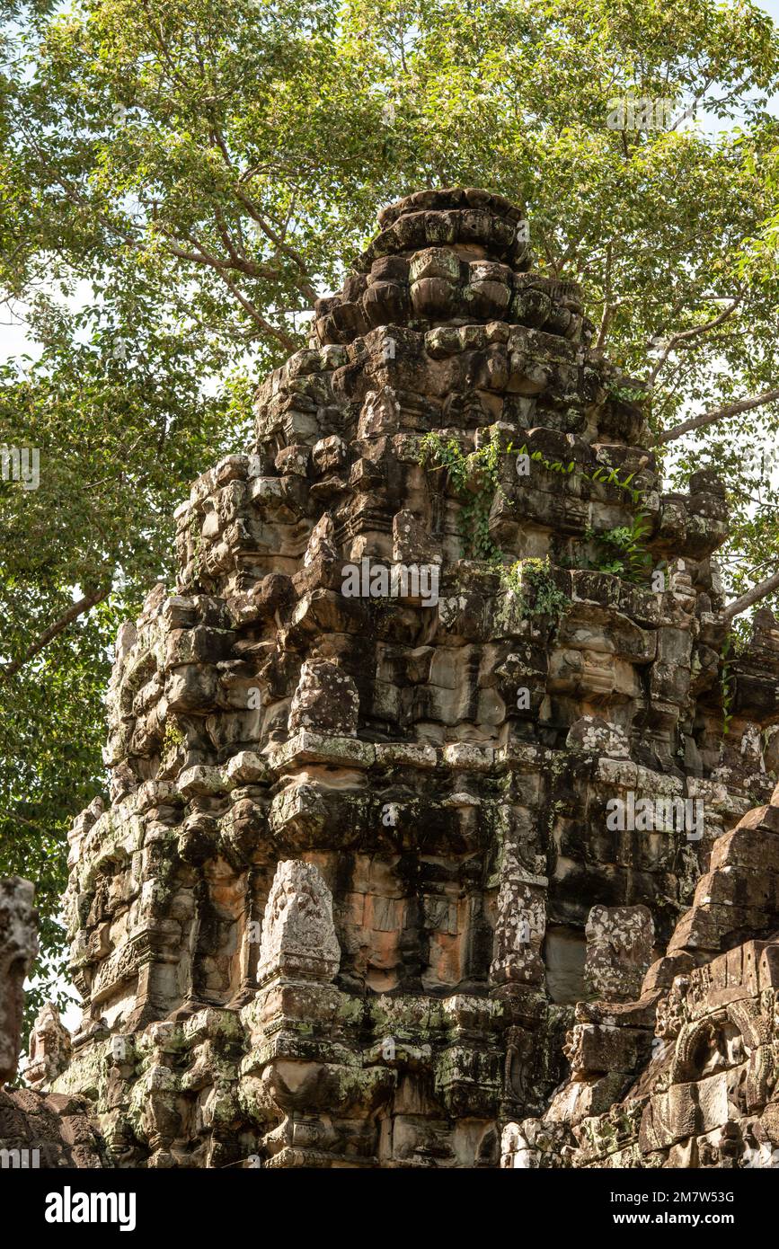 Thommanon temple - Angkor temple park Stock Photo - Alamy