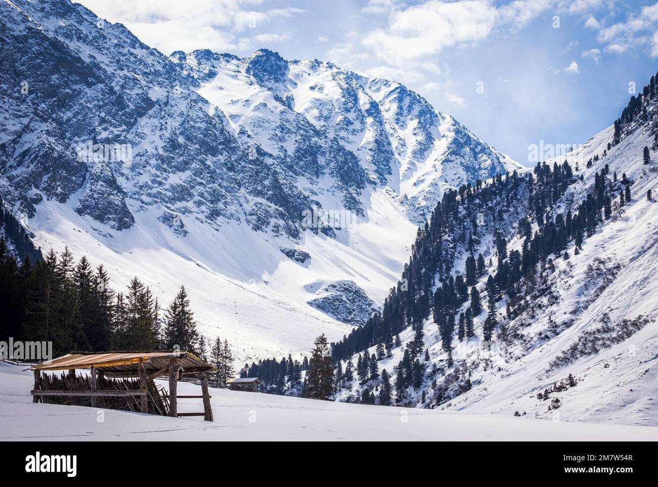 An aerial view of snow covered mountain landscape with trees Stock ...