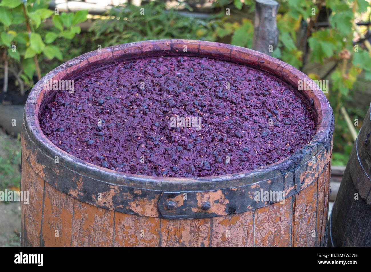 Red wine that ferments in a wooden barrel - in the process of making ...