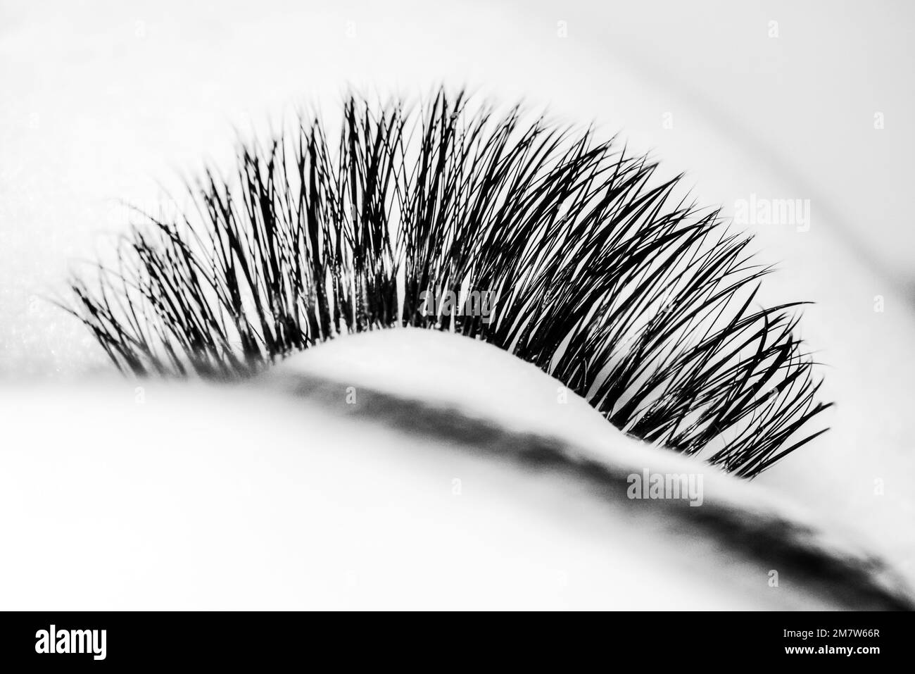 Procedure for eyelashes Black and White Stock Photos & Images - Alamy