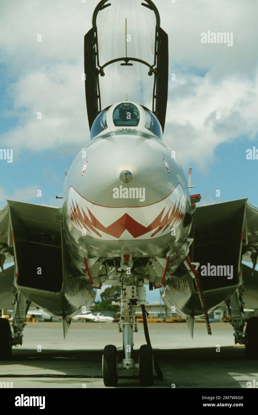 A view of the front of an F-14 Tomcat aircraft with shark's teeth and ...