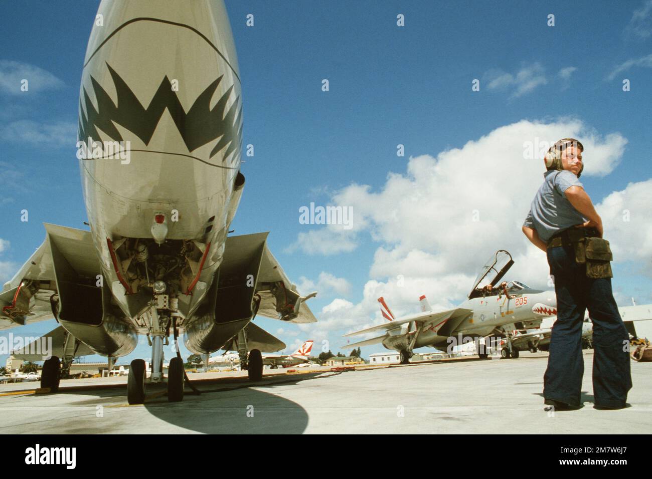 A view of the front underside of an F-14 Tomcat aircraft with a shark's ...