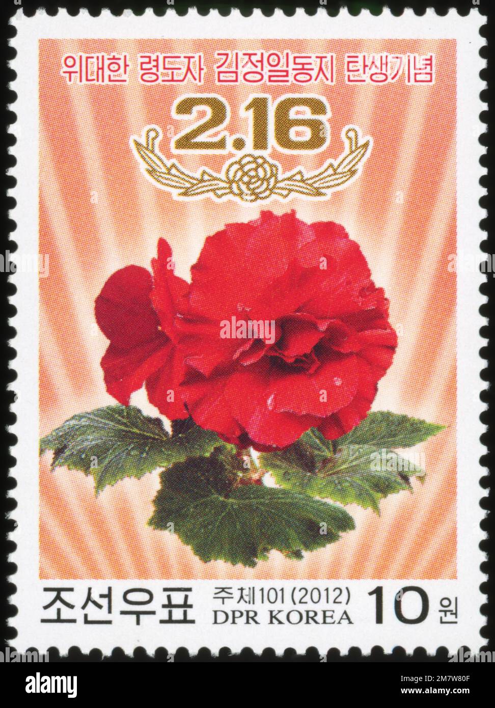 2012 North Korea stamp. 70th birthday of Kim Jong Il. Kimjongilia ...