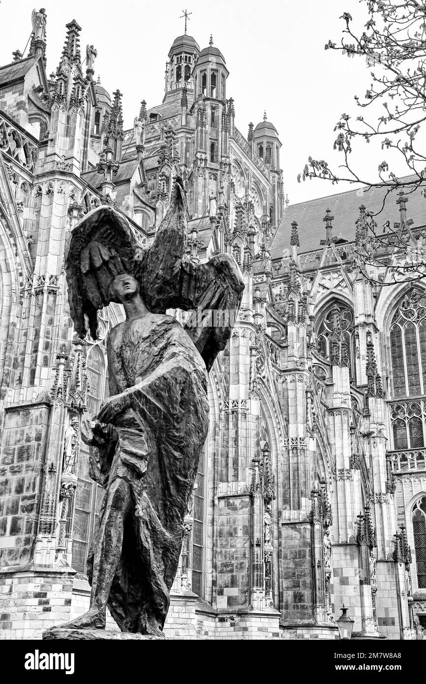 St. john's cathedral ('s hertogenbosch) hi-res stock photography and ...