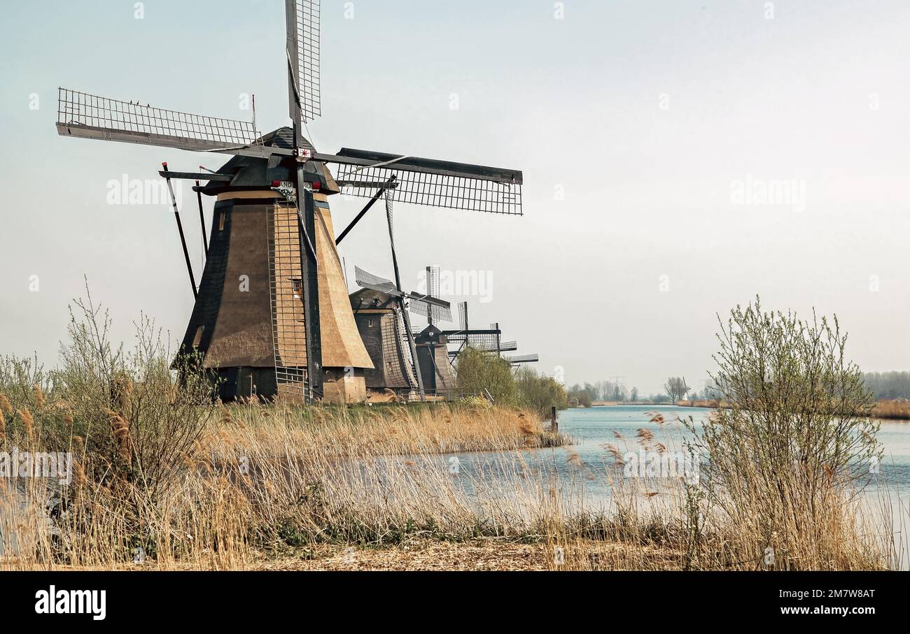 Beautiful dutch windmill landscape at Kinderdijk in the Netherlands ...