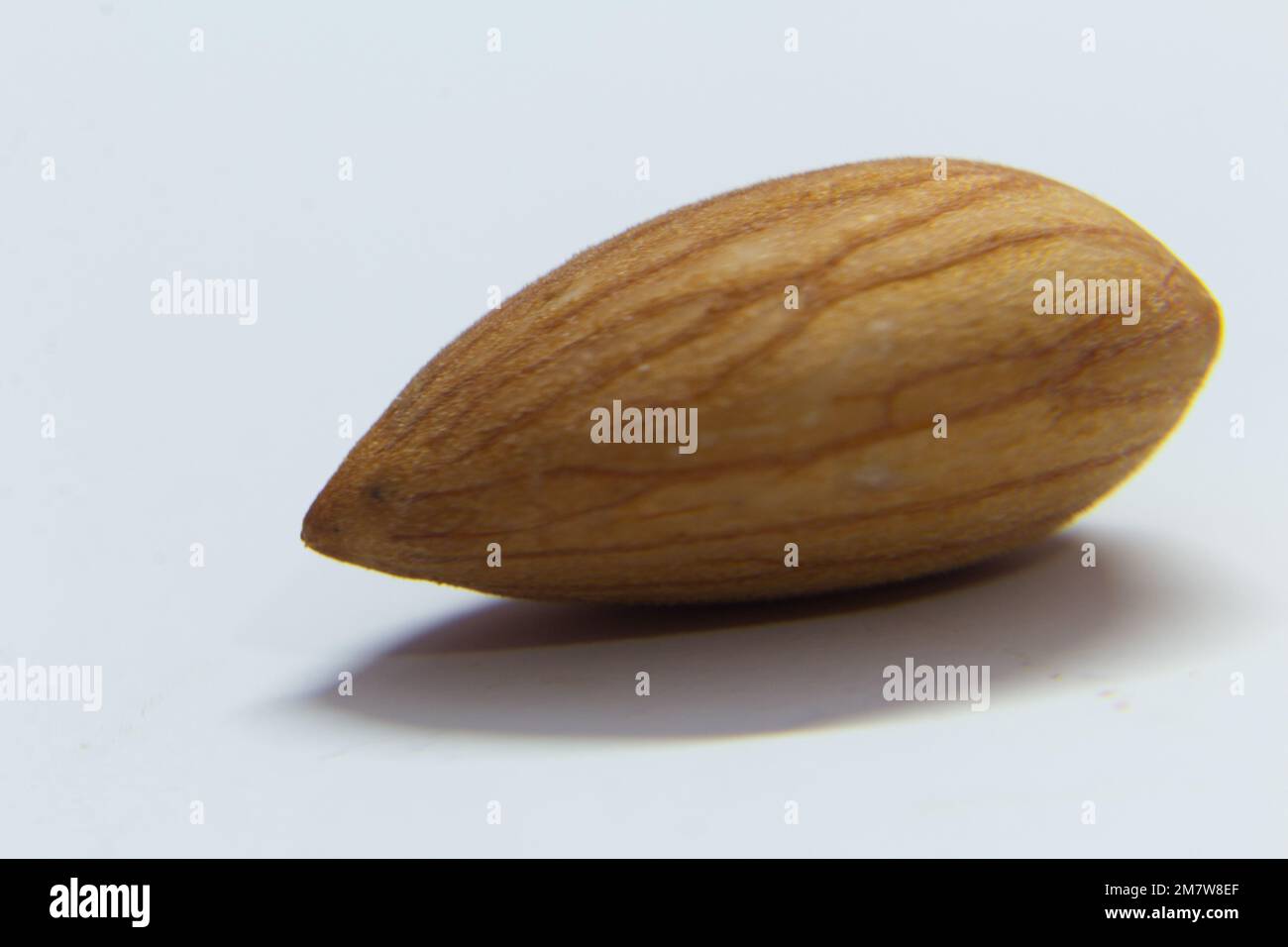 Close-up of Almond isolated on white background Stock Photo - Alamy