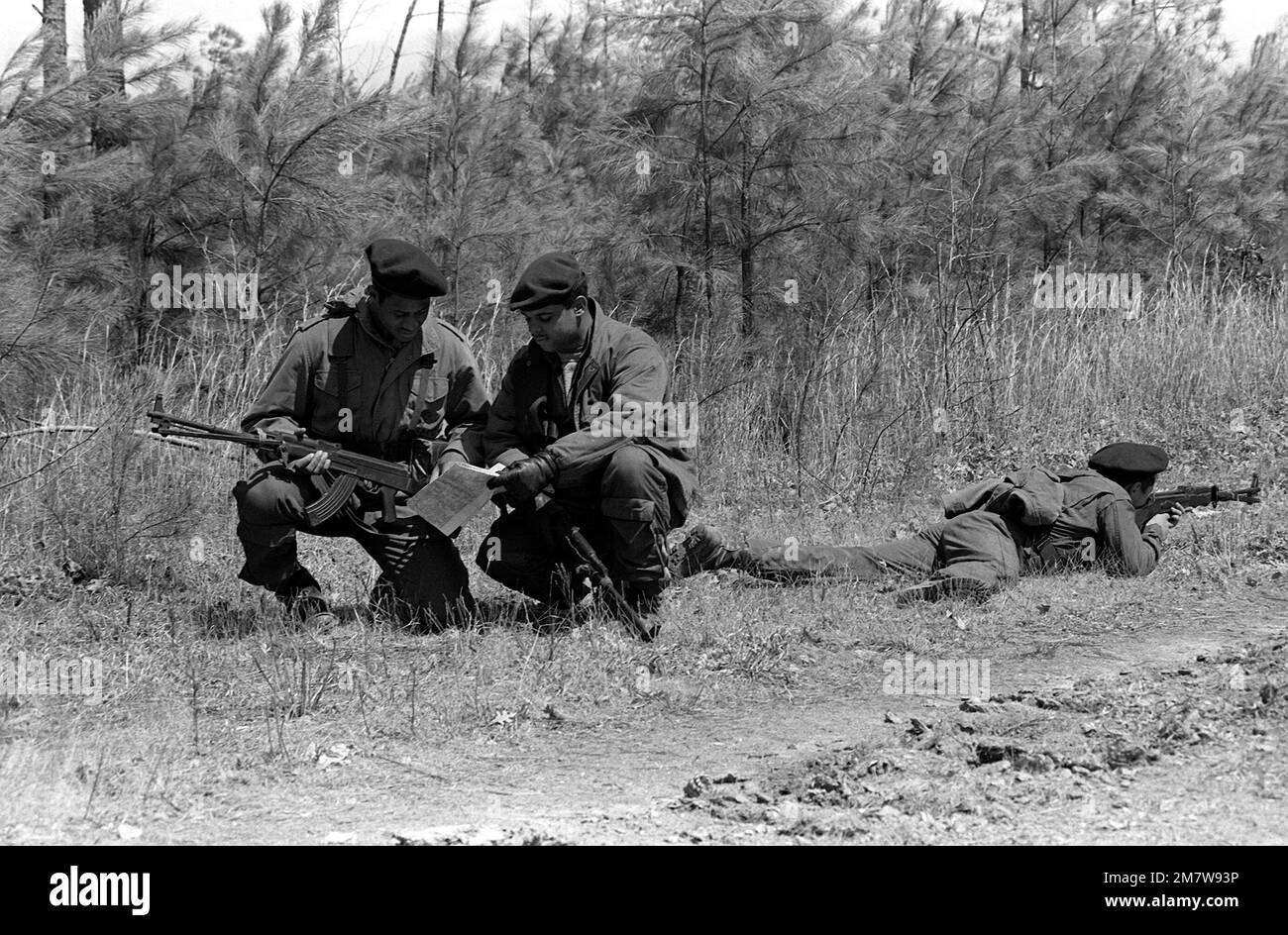 U.S. Marines from the 6th Marine Amphibious Brigade, check a map as ...