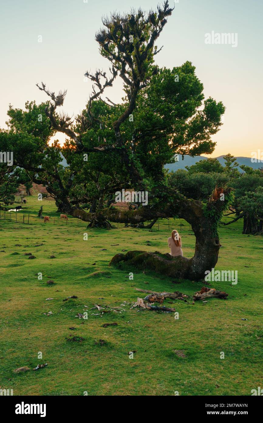 A vertical shot of a woman sitting on a tree in the beautiful landscape ...