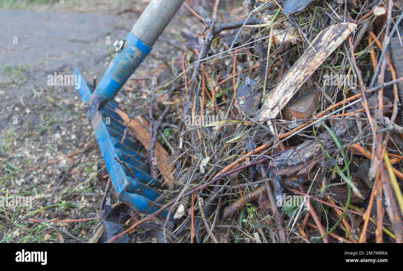 The Signs of Fall: A Shot of a Rake Amongst Dry Vegetation and Branches ...