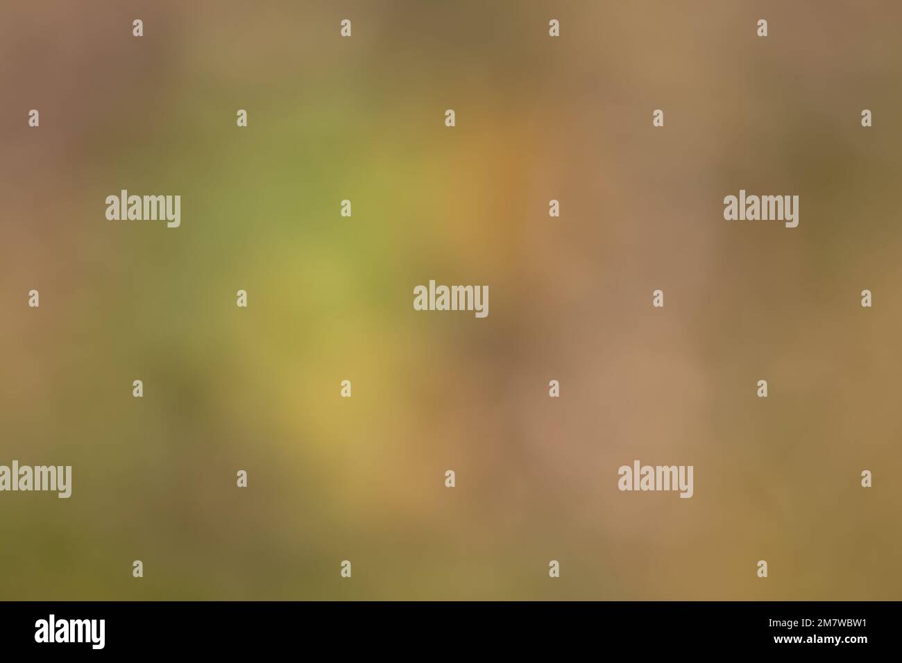 Authentic green natural pastel colors with a green, yellow and orange ...