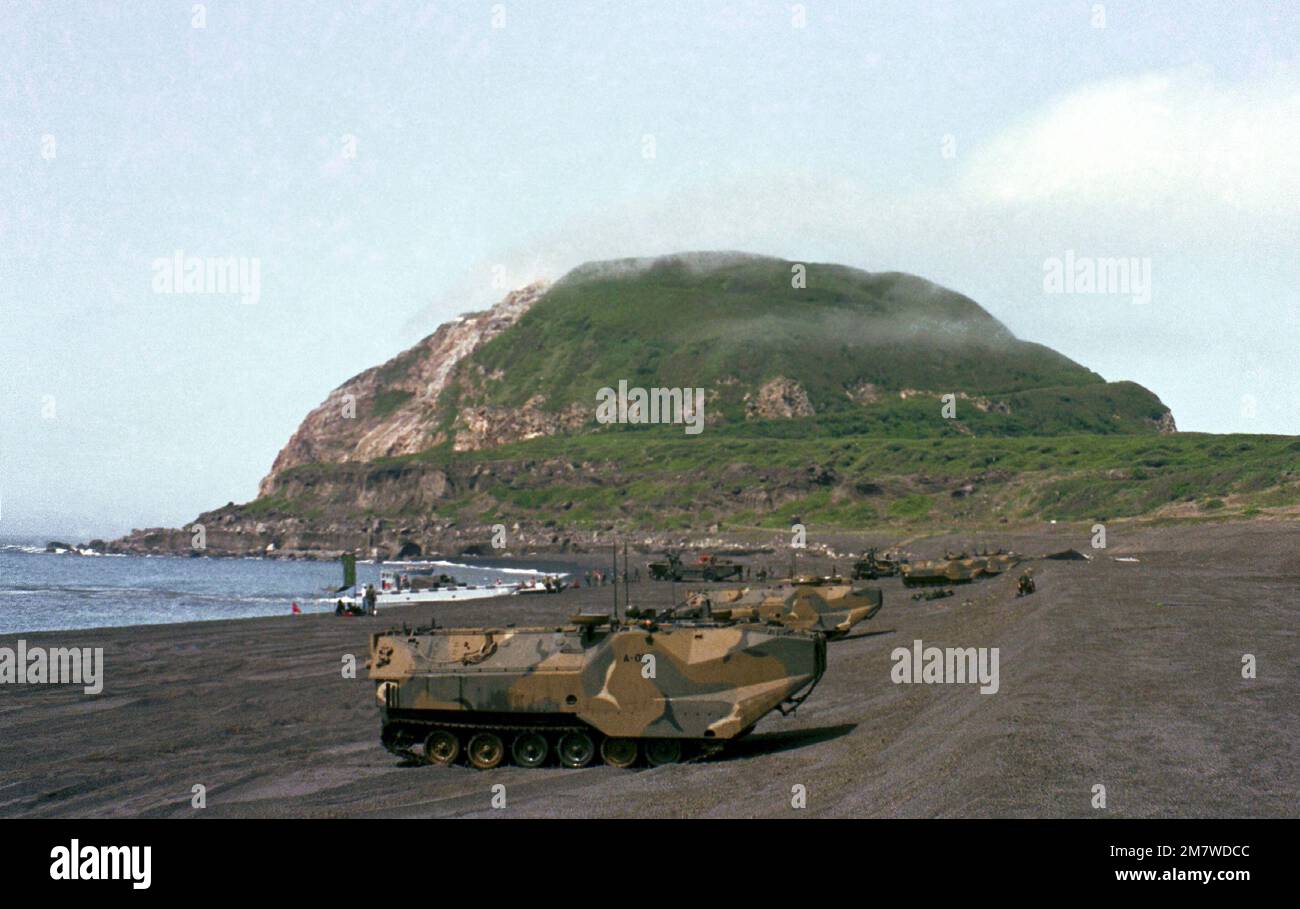 Marine LVTP-7 tracked landing vehicles line the beach at the foot of ...