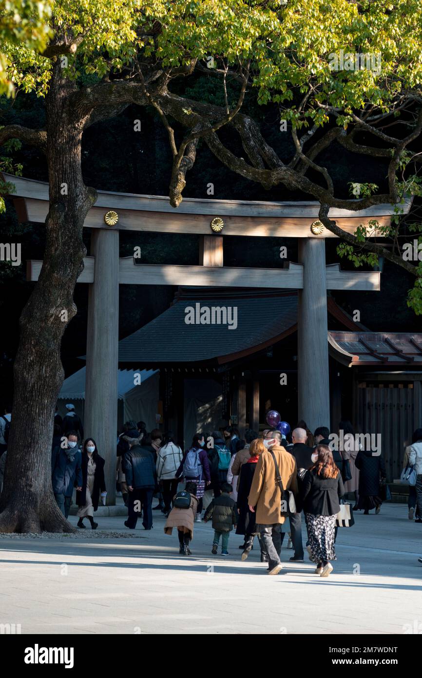 Torii gate at Meiji Shrine, Tokyo, Japan Stock Photo - Alamy