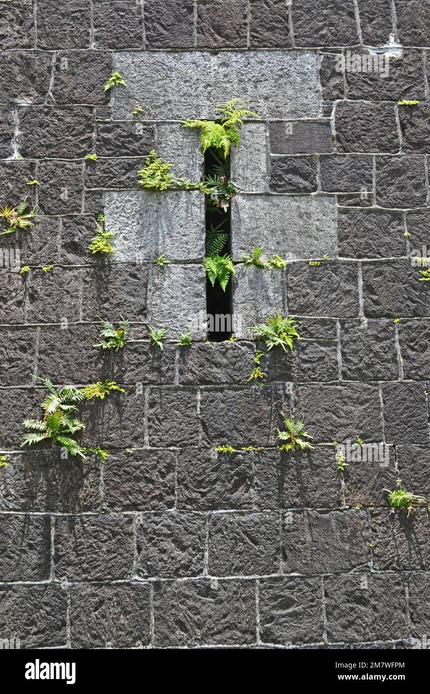 Slit in the wall of the fortress at Brimstone Hill Fortress National ...