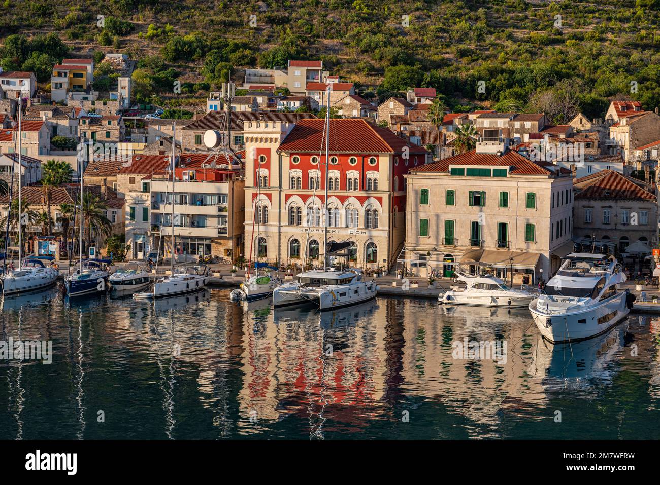 Vis hi-res stock photography and images - Alamy