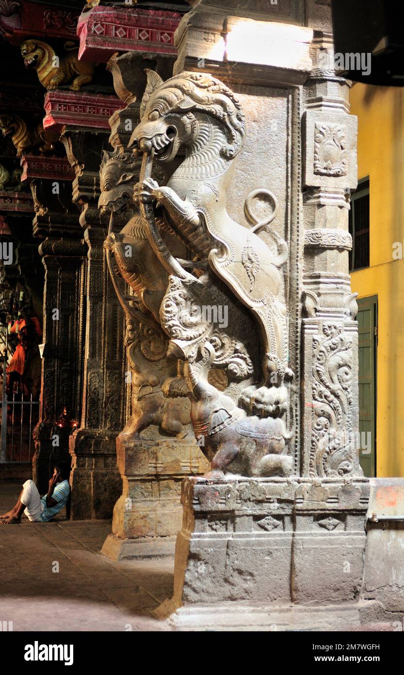 Mythical creature Yalli carved on the pillars of Meenakshi Temple ...