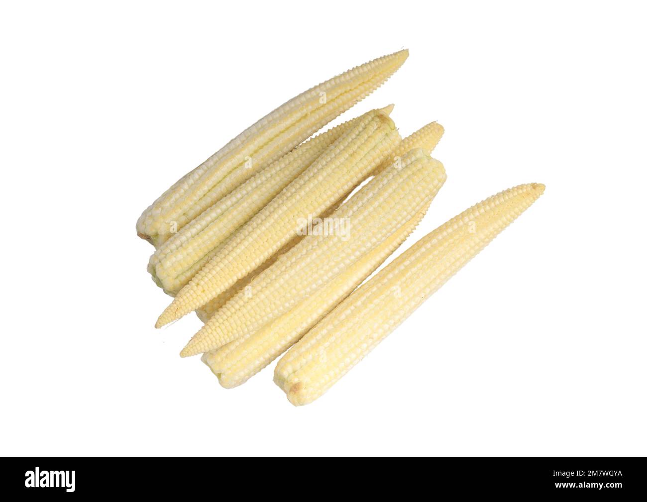 Baby corn on white background.Copy space Stock Photo - Alamy