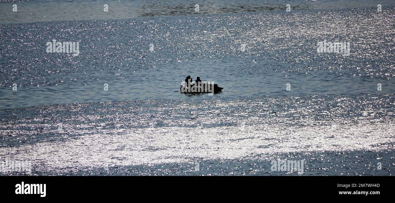Fisherman catching big fish from boat hi-res stock photography and ...