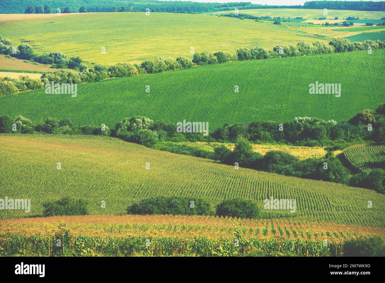 Top view green fields hills hi-res stock photography and images - Alamy