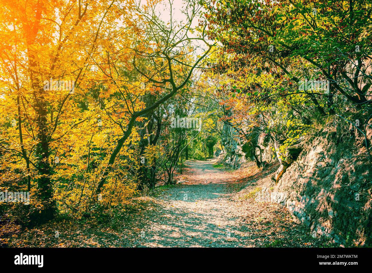 Scenic path in Tbilisi Botanical Garden, Georgia Stock Photo - Alamy