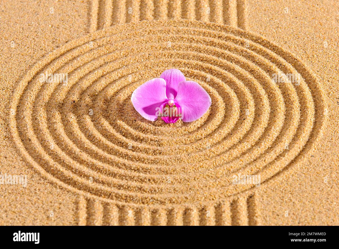 Japanese zen garden with stone in textured sand Stock Photo - Alamy
