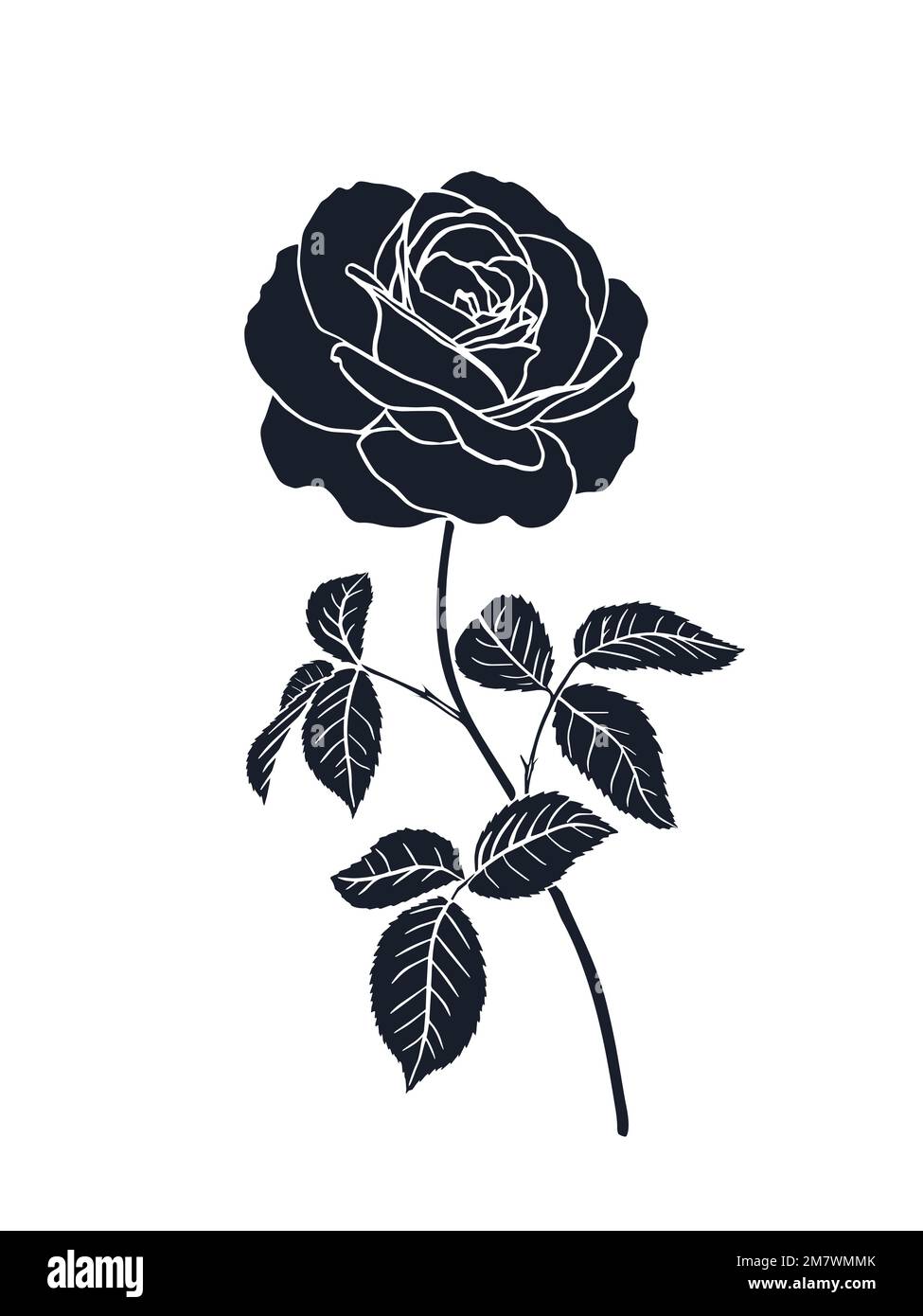 Rose buds vector silhouettes. Flowers design elements. Monochrome rose ...