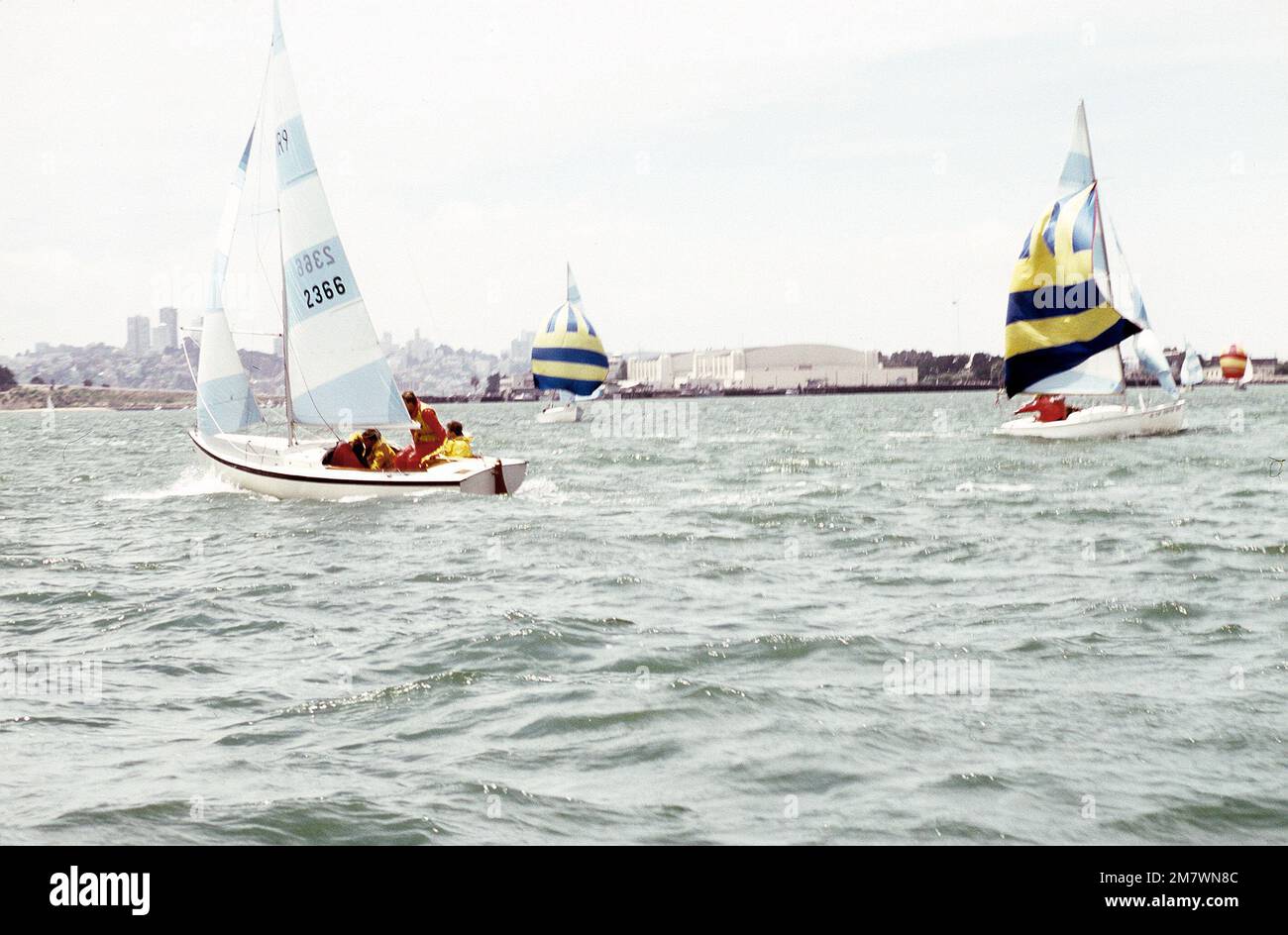A view of the sail boats taking part in the Treasure Island Yacht Club ...