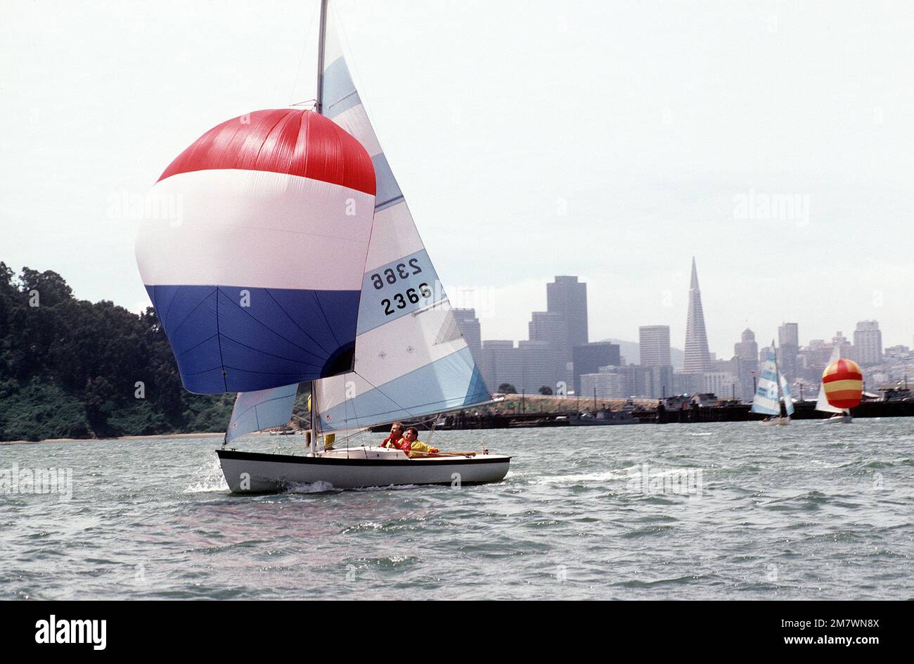 A sail boat, with spinnaker billowing, takes part in the Treasure ...
