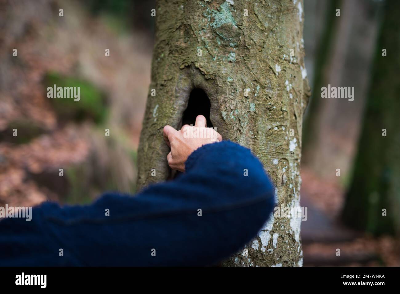 The Serpent of Knowledge Stock Photo - Alamy