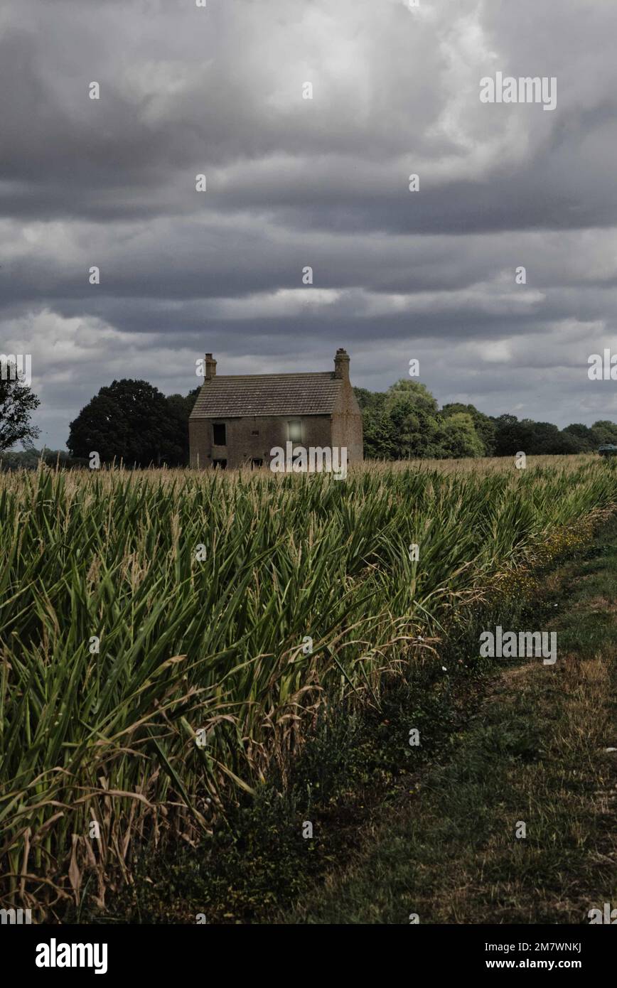 Derelict abandoned empty house, alone in the fields, spooky mysterious ...