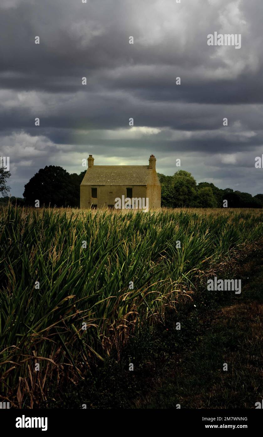Derelict abandoned empty house, alone in the fields, spooky mysterious ...