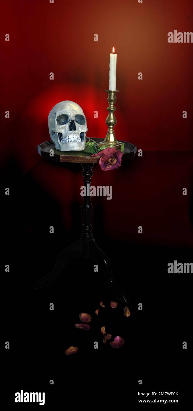 Dying rose on ground hi-res stock photography and images - Alamy