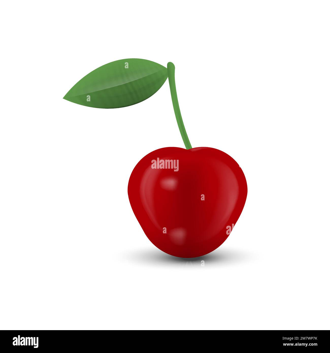Realistic cherry isolated on a twhite background. Vector illustration ...