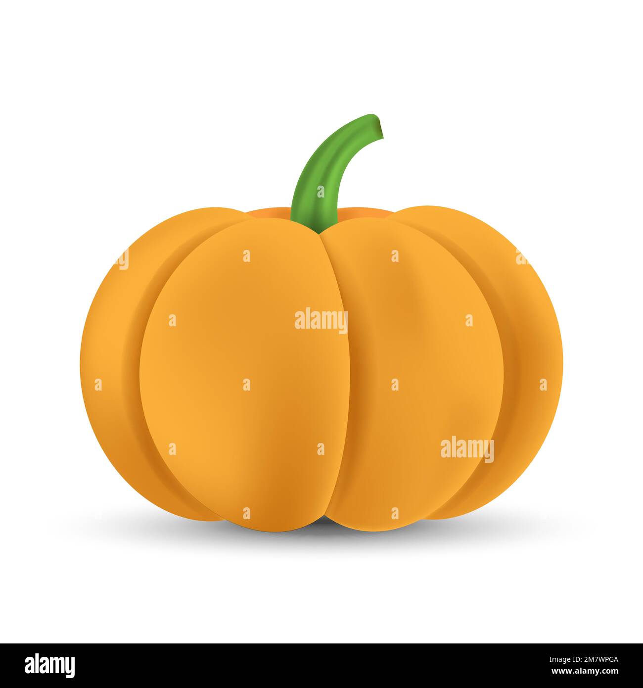 Realistic pumpkin isolated on white background. Vector illustration ...