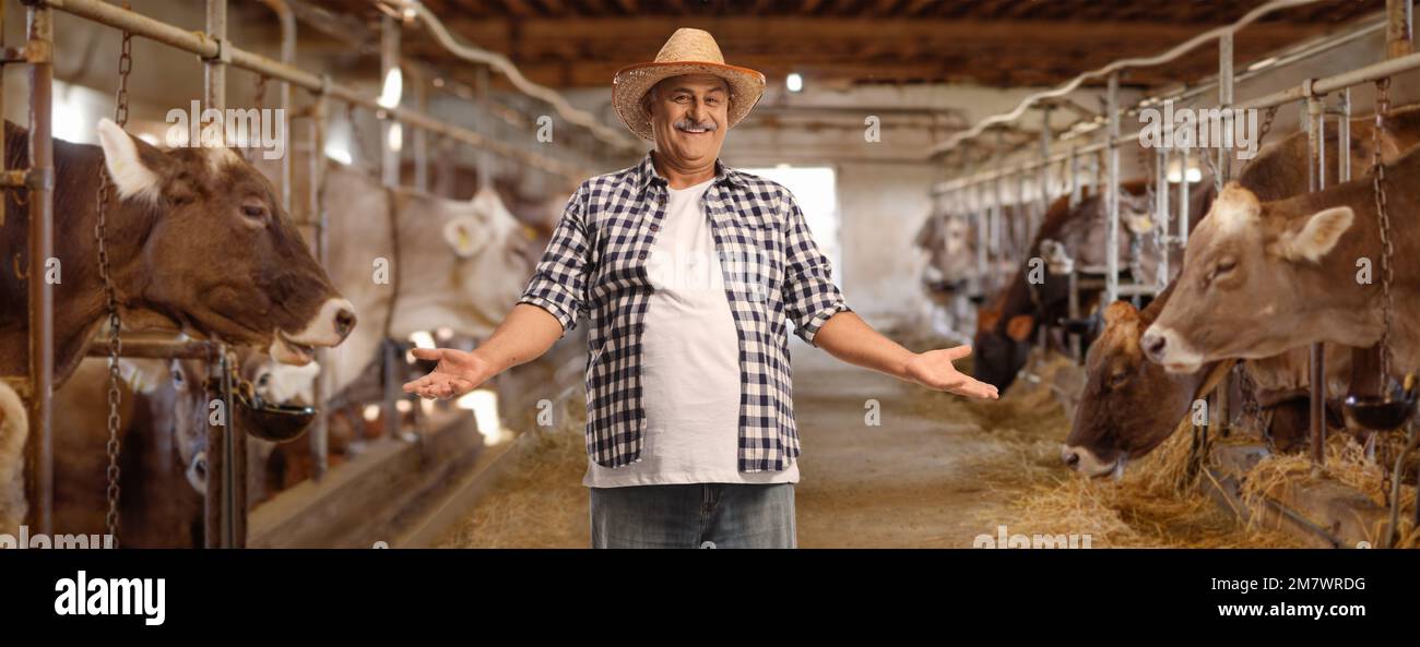 Farmer with a straw hat posing inside a cowshed Stock Photo - Alamy