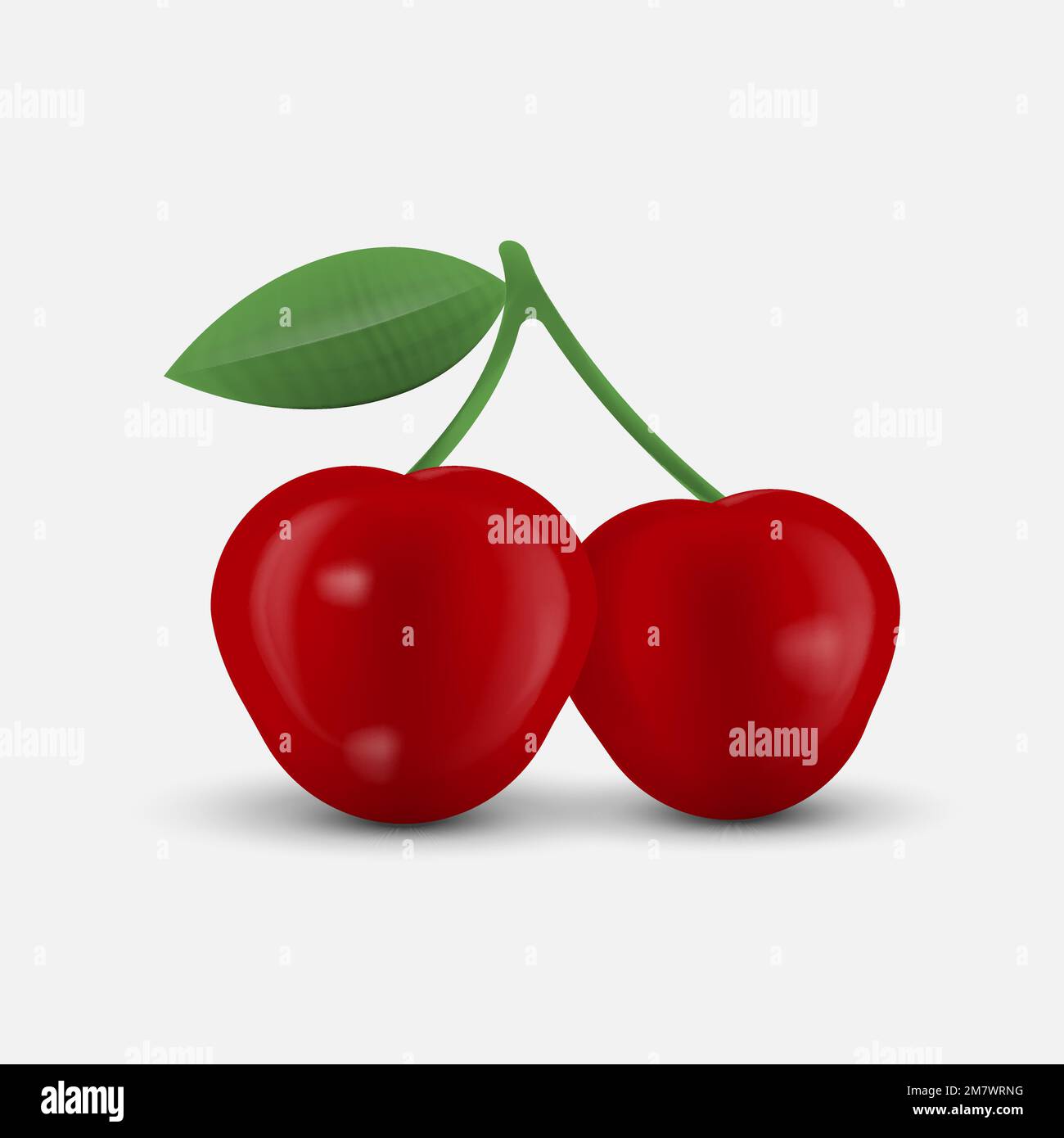 Realistic cherry isolated on a twhite background. Vector illustration ...
