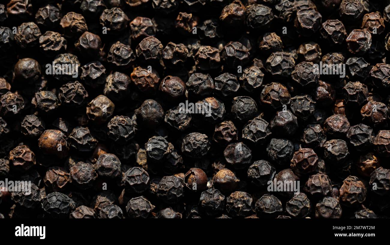 Black pepper. Black peppercorns background texture. Piper nigrum Stock ...