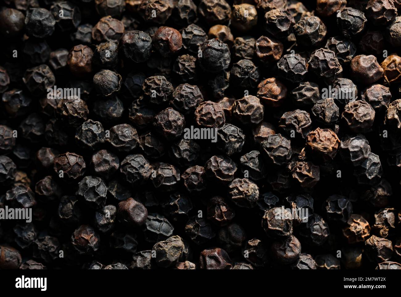 Black pepper. Black peppercorns background texture. Piper nigrum Stock ...