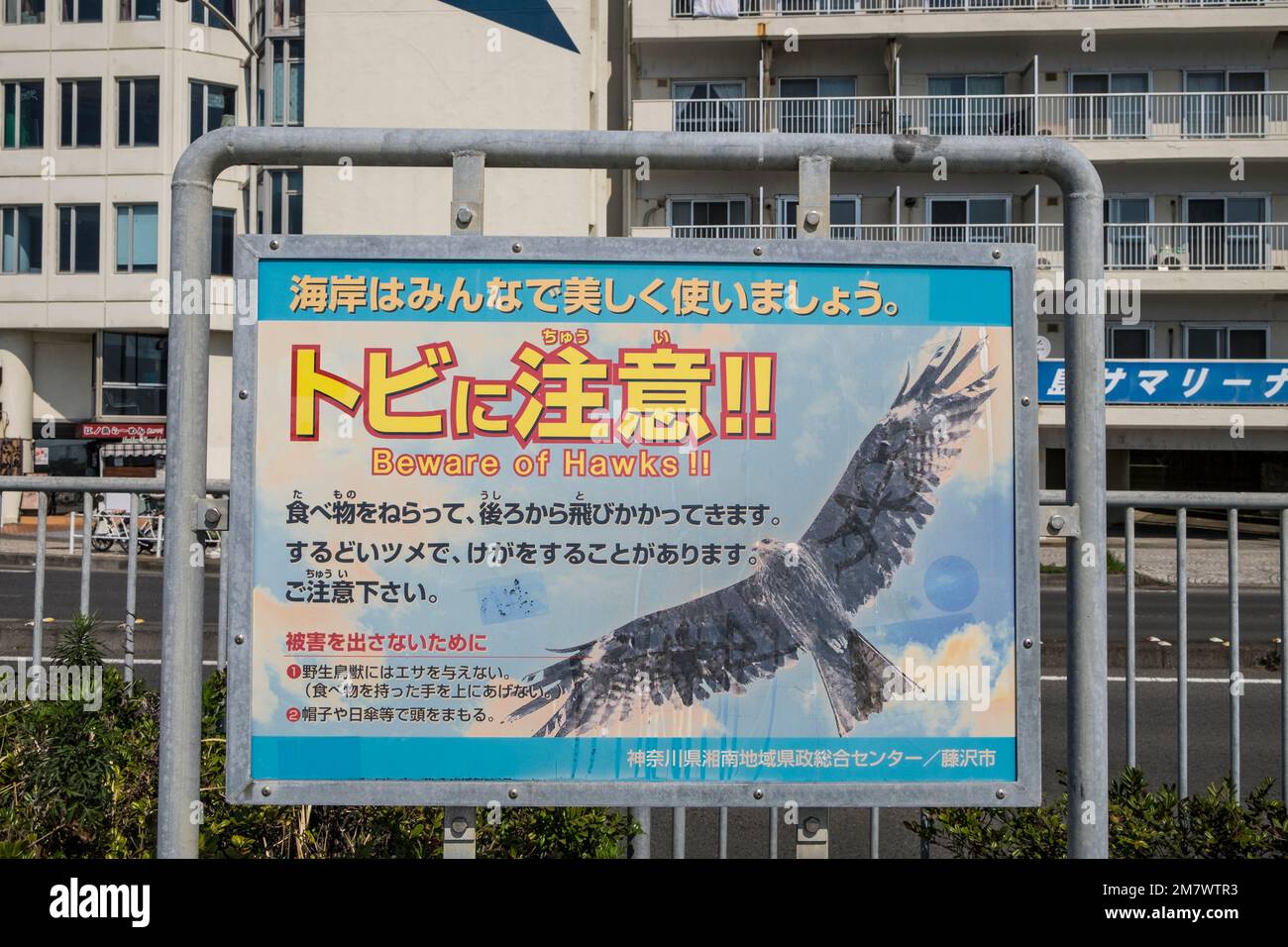 Japan, Kamakura: falcon warning sign, Honshu Island Stock Photo - Alamy