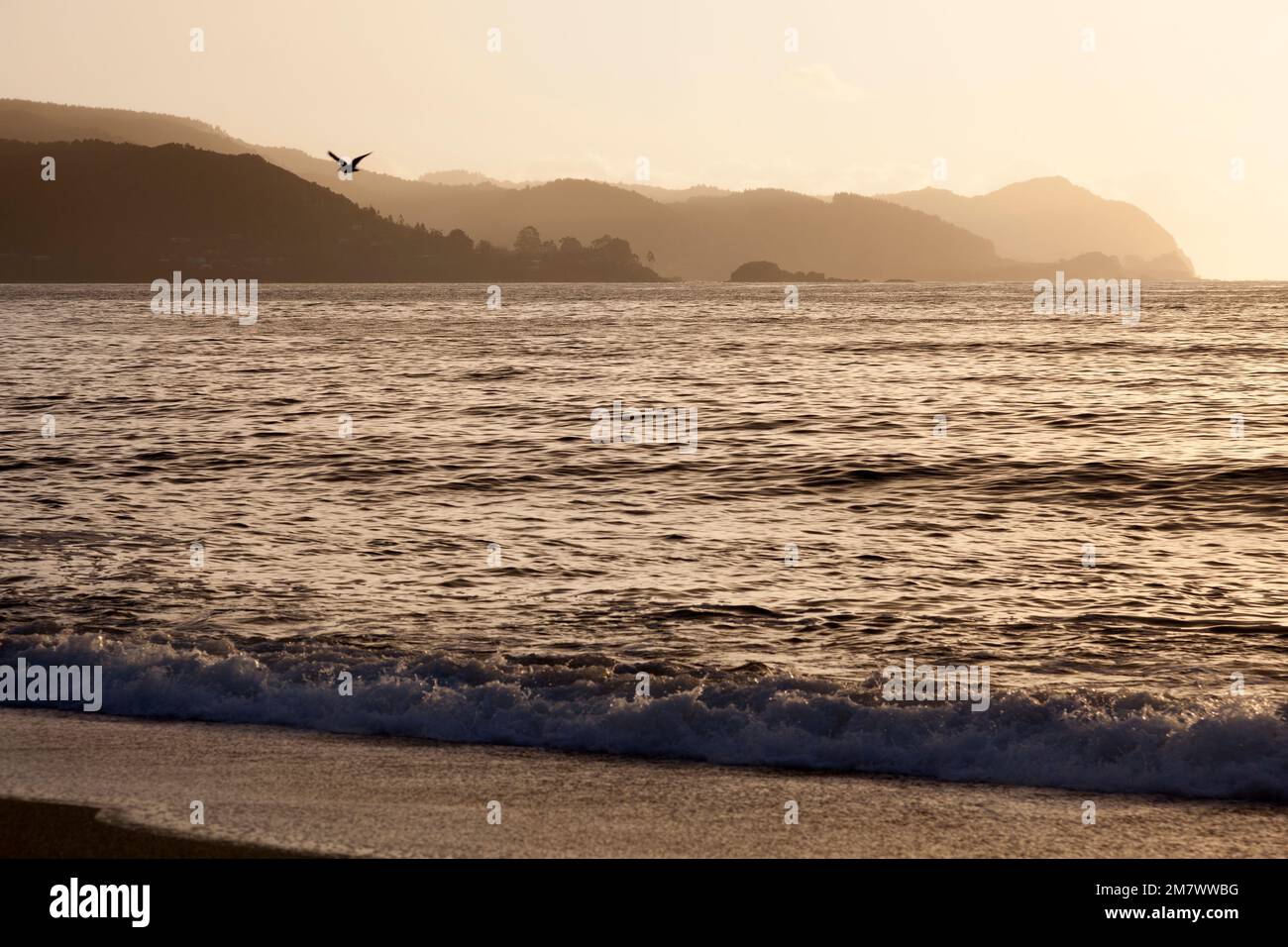 Sunset in Valdivia's coast. Pacific Ocean. Chile Stock Photo - Alamy