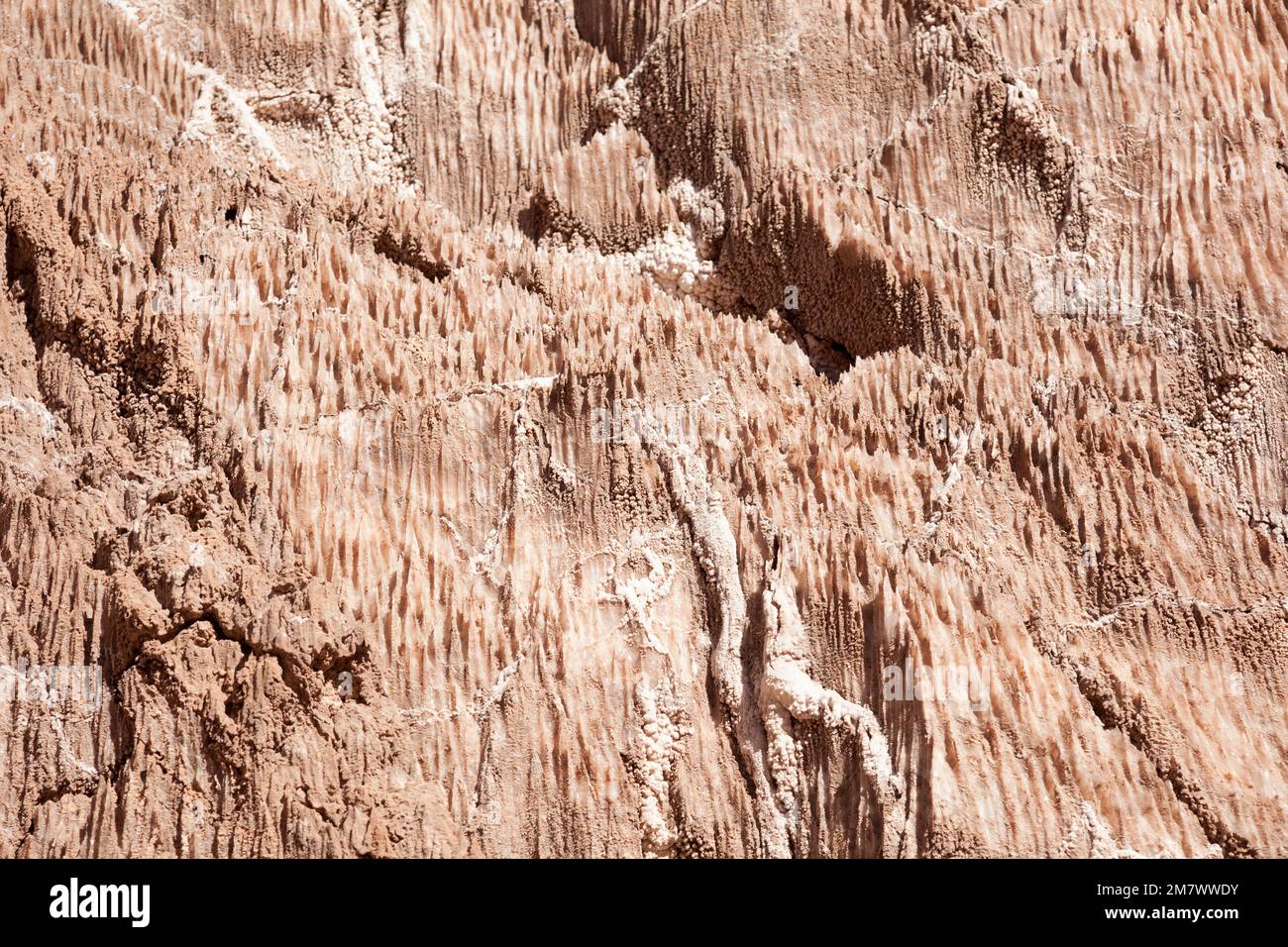 crystalline salt - seen in Valle de la Luna in Atacama desert in Chile ...