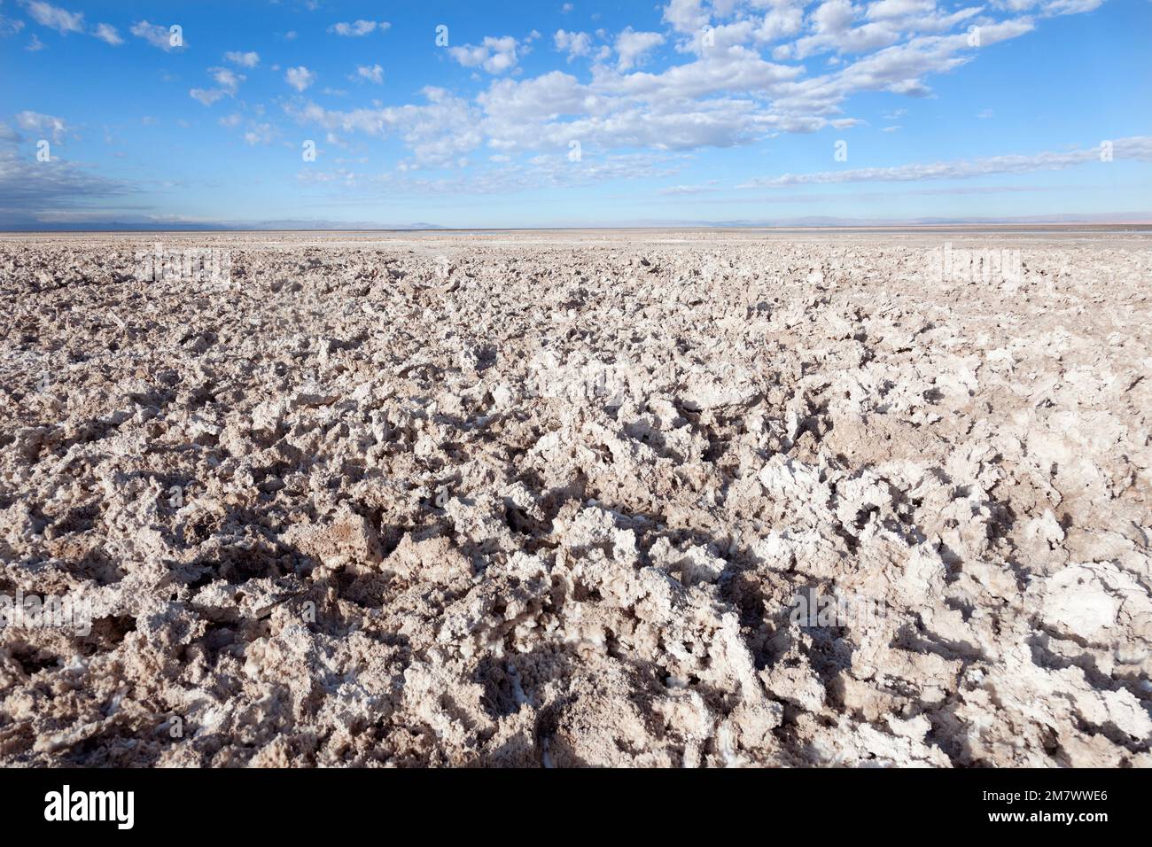 Salt desert. San Pedro of Atacama, Chile Stock Photo - Alamy