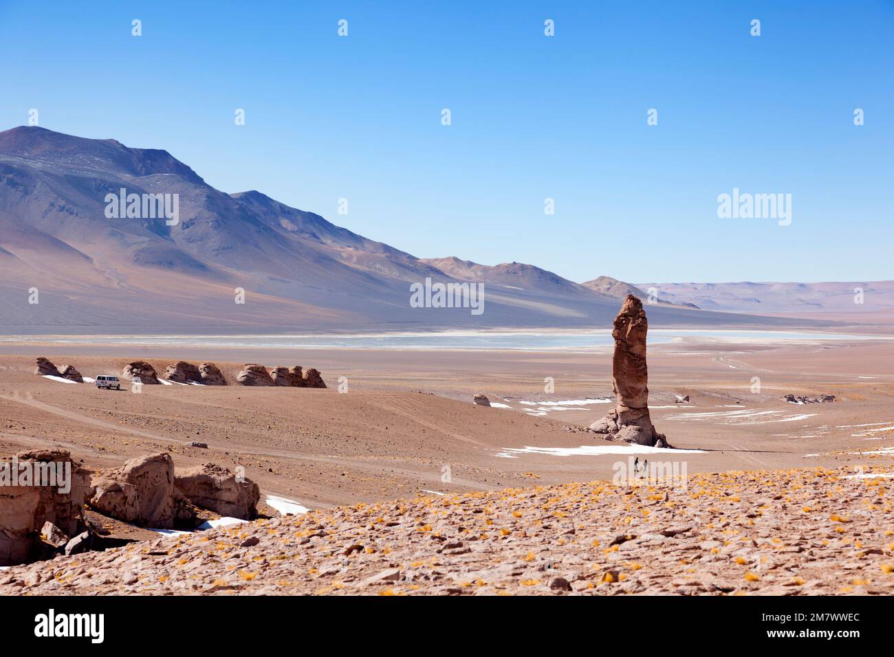 Geological monolith close to Salar de Tara Stock Photo - Alamy