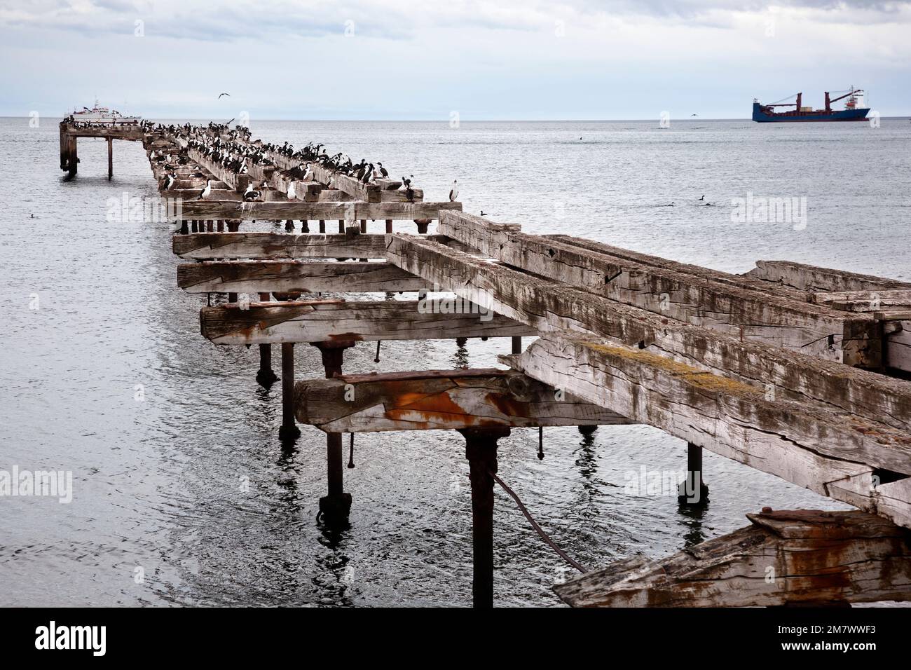 The remains of an old pier, now a resting place for seabirds. Sand ...